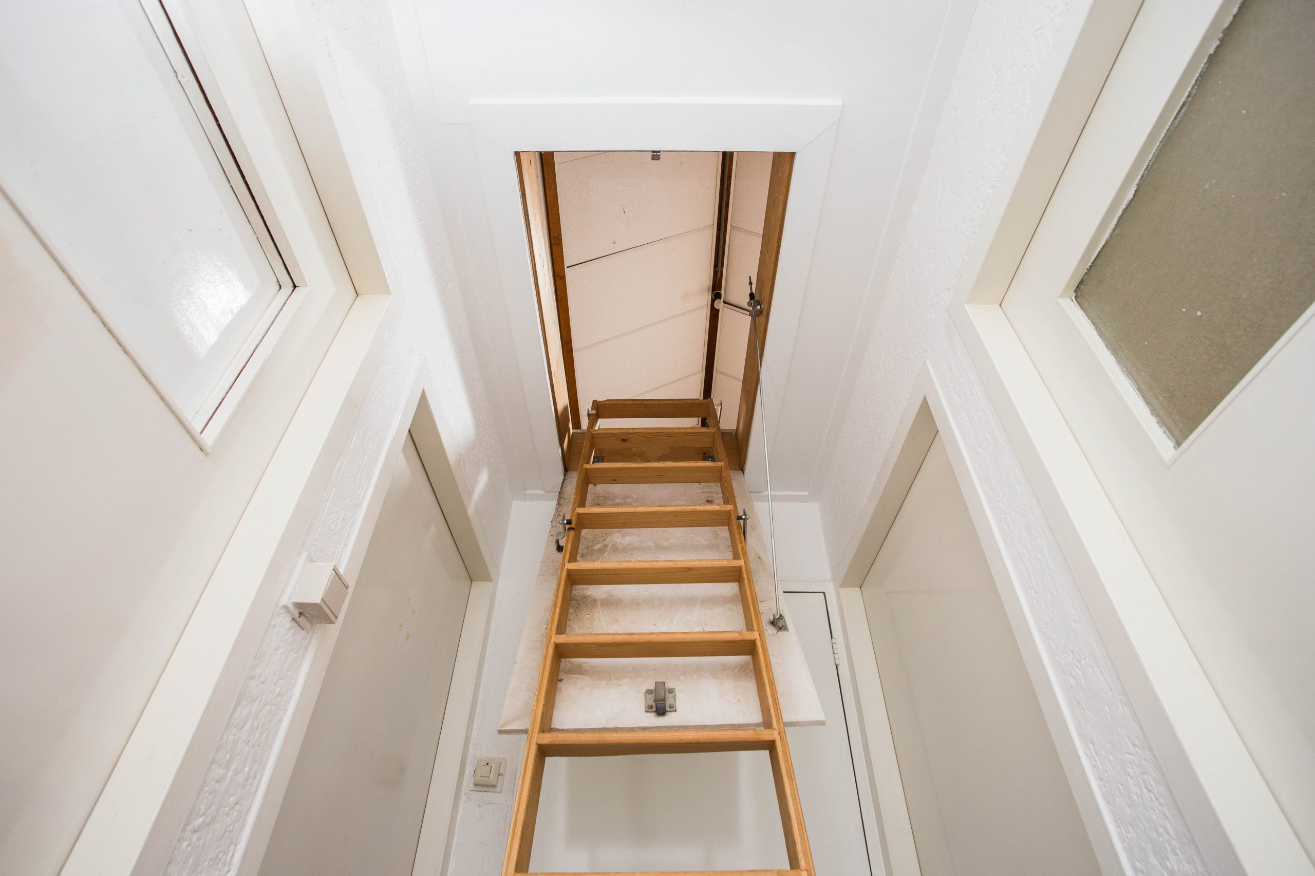 The Hidden Dangers of Overlooking the Attic When Buying a Home ...